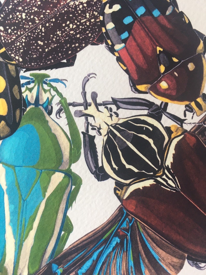 Insects No. 11 1926 Insectes IN-51 Fine Art Print of a | Etsy