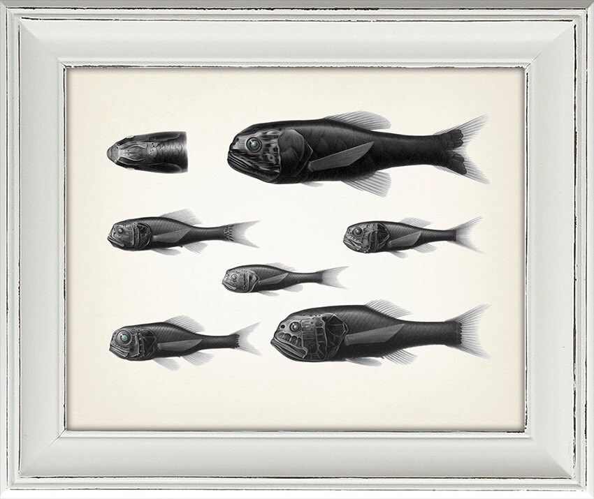 Mechanical Robot Looking Fish Fine Art Print of a Vintage - Etsy