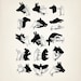Shadow Puppet Animals - OE-02 Fine Art Print of a Whimsical Victorian ...