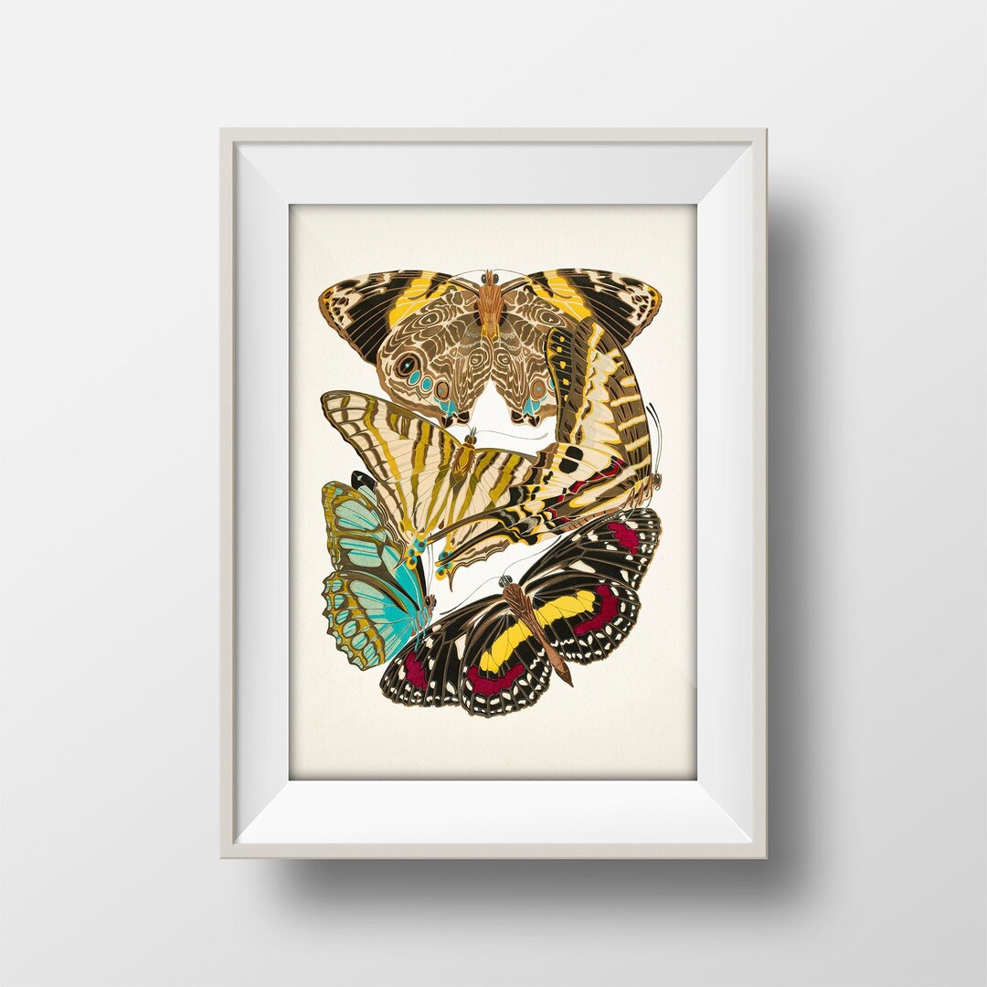 Butterflies No. 5 [1925] Papillons - MO-85 - Fine Art Print of a ...
