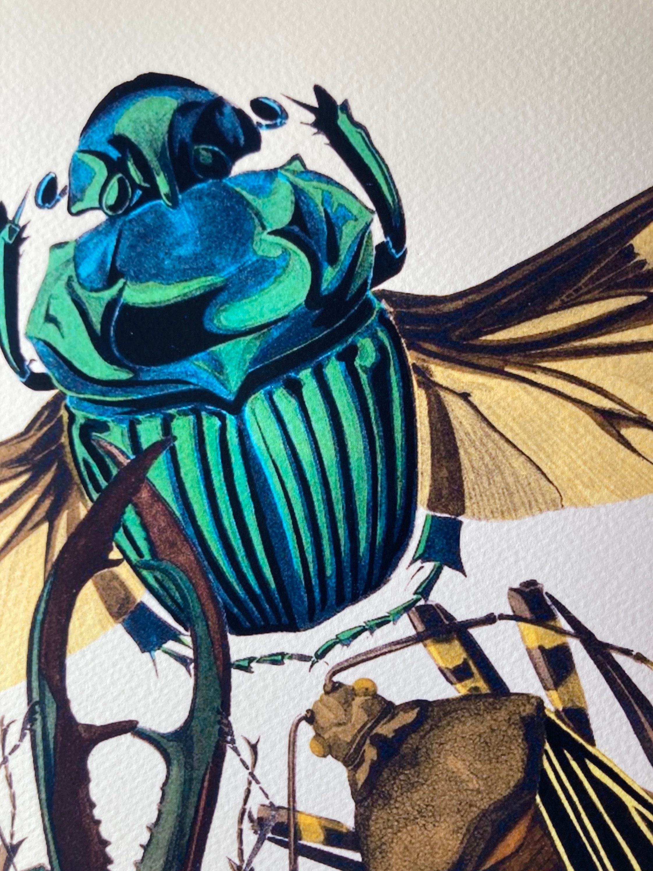 Insects No. 15 1926 Insectes IN-55 Fine Art Print of a | Etsy