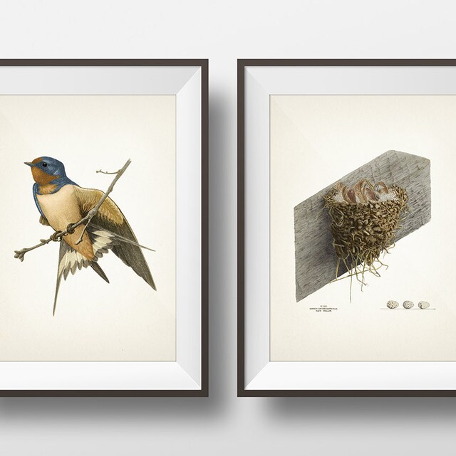 ThePrintedVintage - Etsy