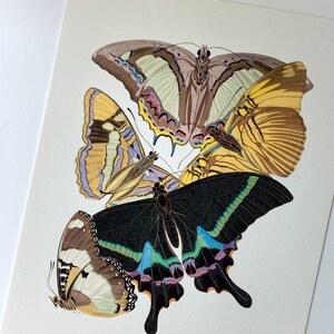 Butterflies No. 8 [1925] Papillons - MO-88 - Fine Art Print of a ...