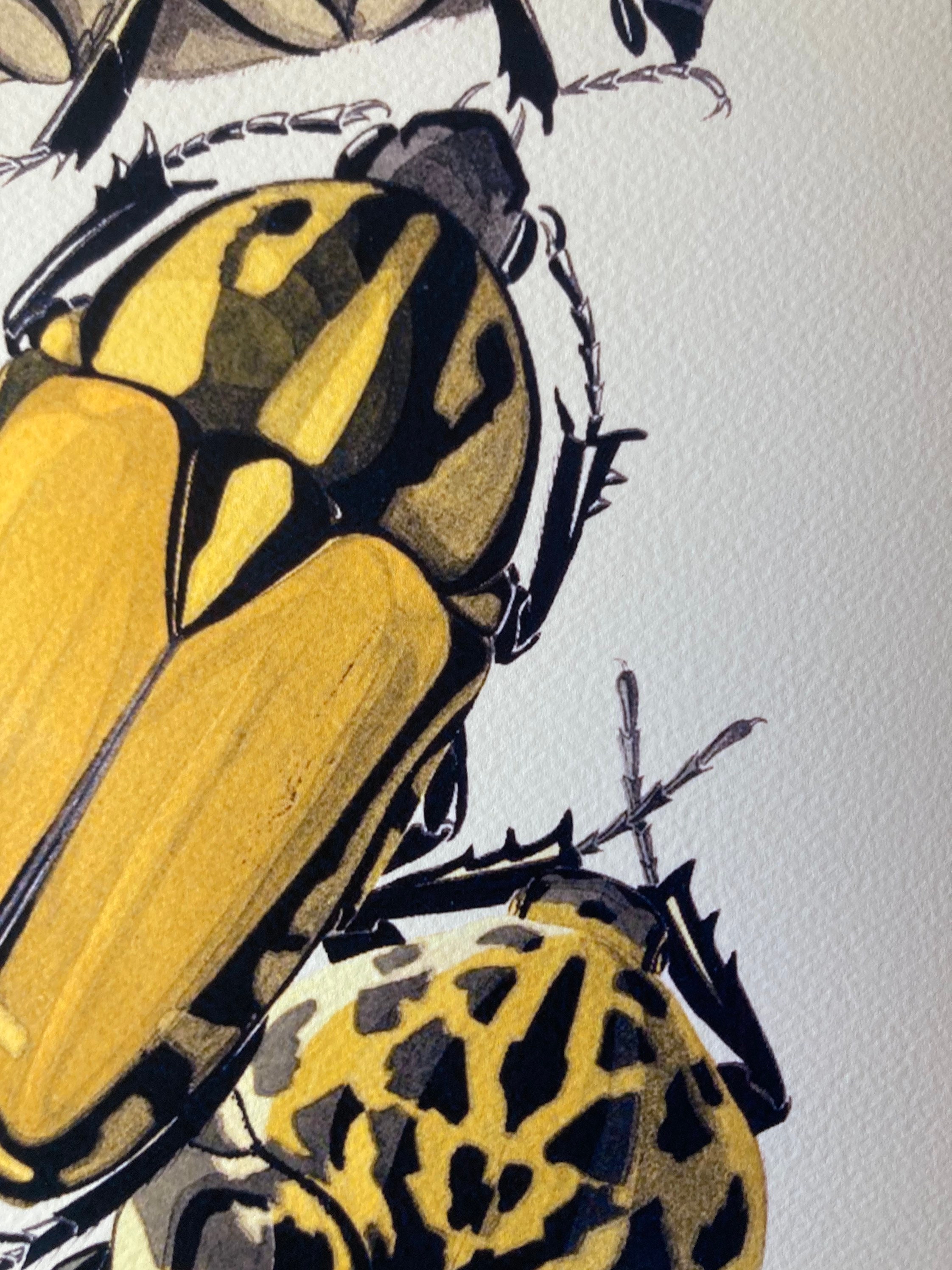 Insects No. 12 1926 Insectes IN-52 Fine Art Print of a | Etsy