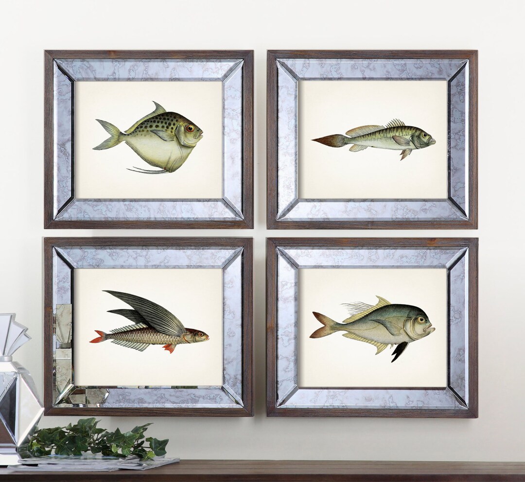 Blue Green Fish Print Set - 1801 Fish Drawings. - Fine Art Print of a ...
