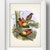 Goldie's Bird of Paradise paradisaea Decora BP-10 Fine Art Print of a ...