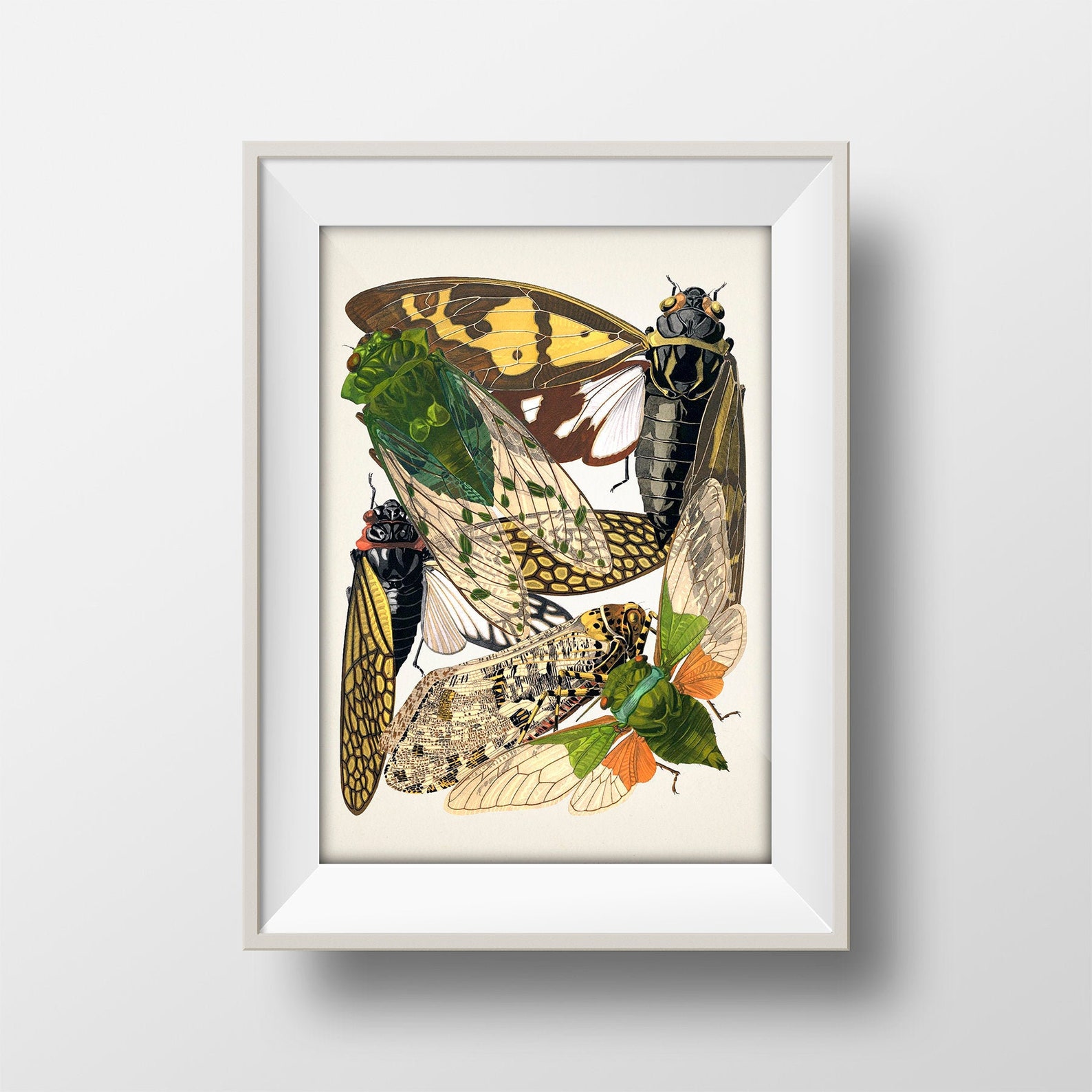 Insects No. 02 1926 Insectes IN-42 Fine Art Print of a - Etsy