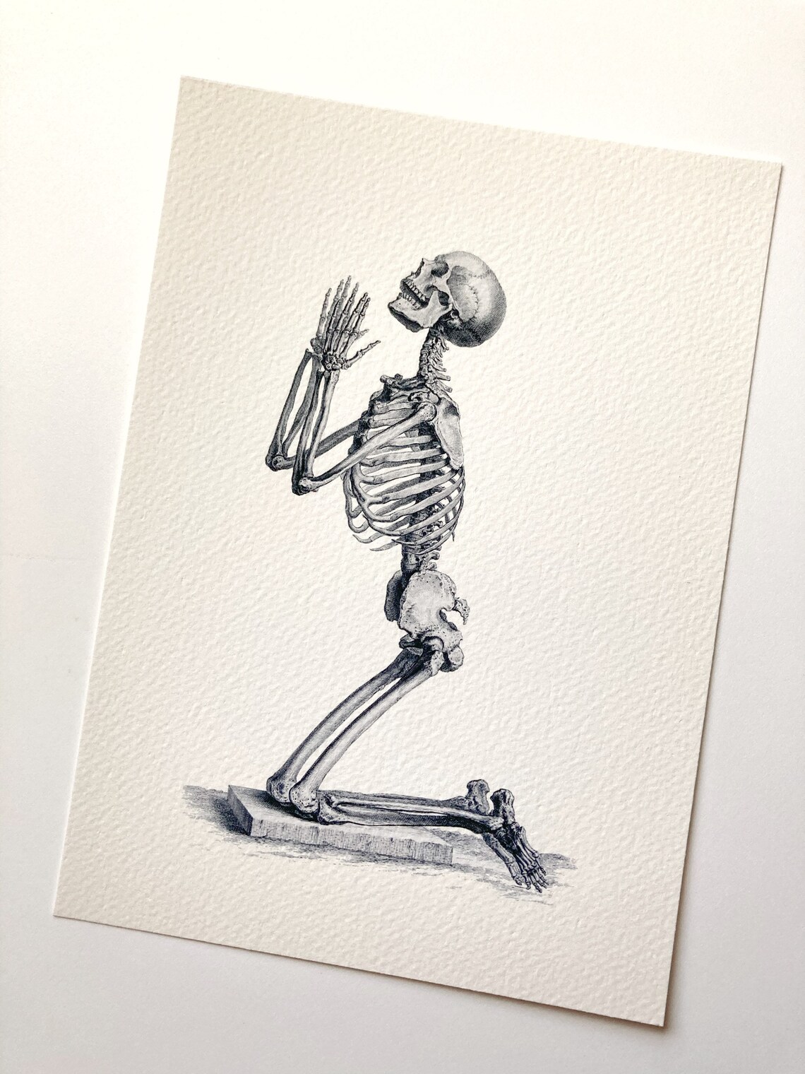 Skeleton Praying Anatomical Drawing HU-32 Fine art print | Etsy