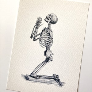 Skeleton Praying Anatomical Drawing - HU-32 - Fine Art Print of a ...