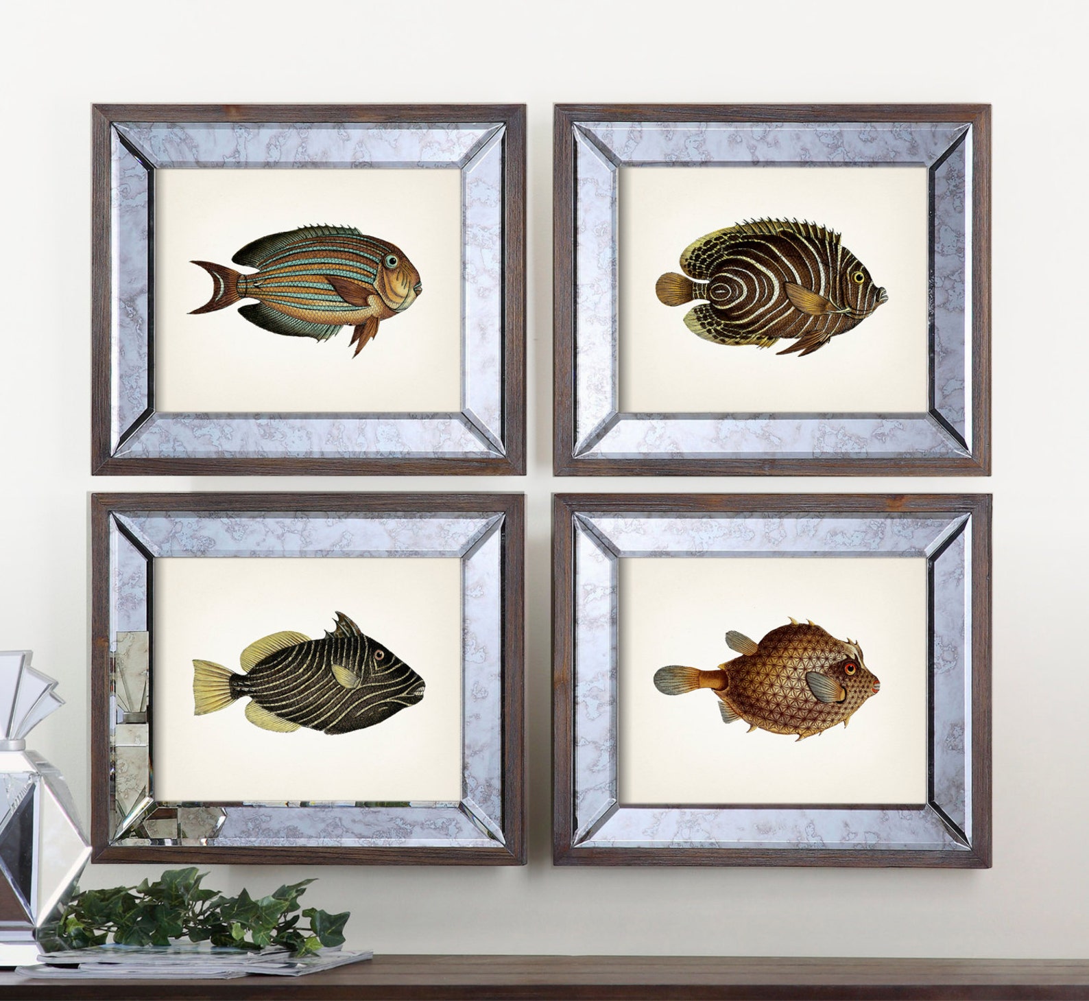 Patterned Fish Print Set - 1801 Fish Drawings. - Fine Art Print of a ...