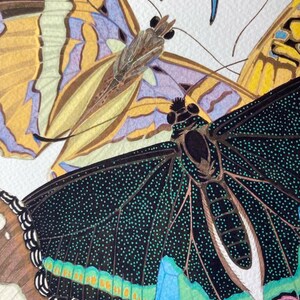 Butterflies No. 8 [1925] Papillons - MO-88 - Fine Art Print of a ...