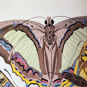 Butterflies No. 8 [1925] Papillons - MO-88 - Fine Art Print of a ...