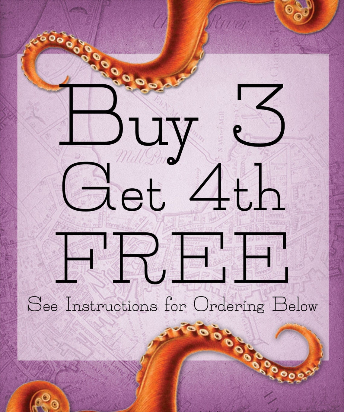 Black Sicklebill Bird of Paradise epimachus Fastuosus - Etsy