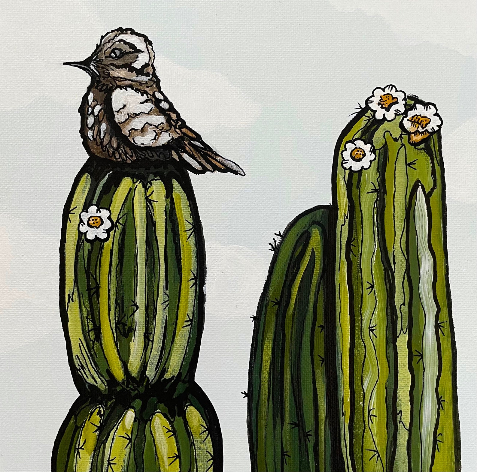 Cactus Wren on Cactus, With Flowers, Print Reproduction of Artist's ...
