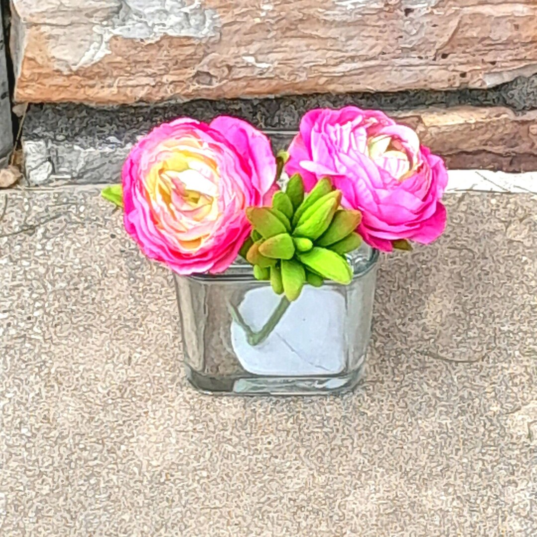 Celeste Pixie: 6in Pink Ranunculus and Fuzzy Green Succulent Leaves in ...