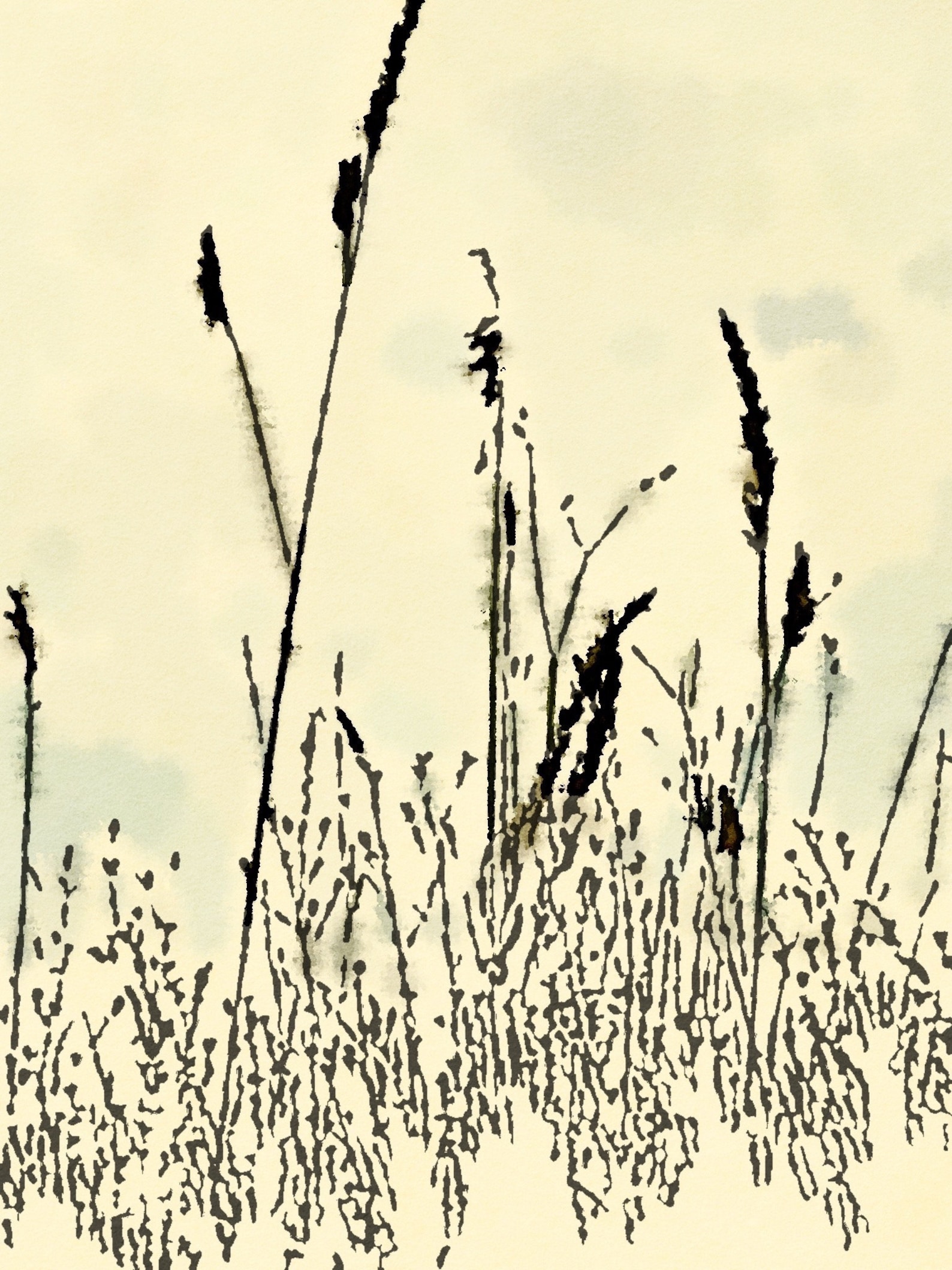 Prairie Grasses Art Print - 16 X 20 - Etsy