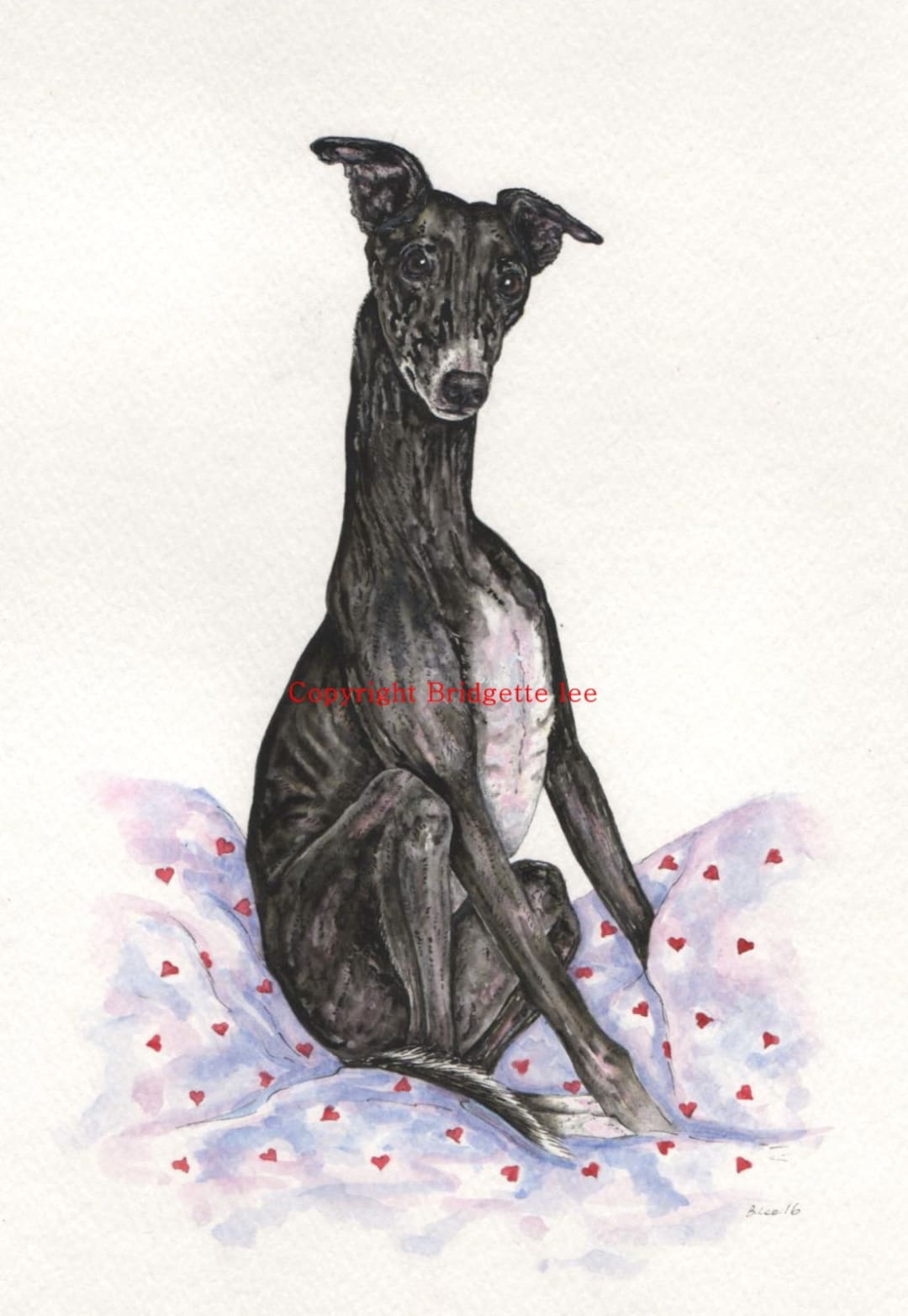 Sitting Pretty.....a4 Whippet Greyhound ... Watercolor and Ink Painting ...