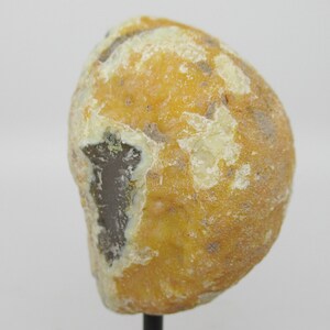 Polished Geode on Stand With Amethyst Rock Samples Rock Collecting ...