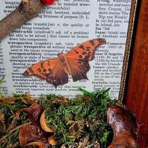 Miniature Butterfly Nature Scene, Cottage Core Decor, Goblin Core Decor ...