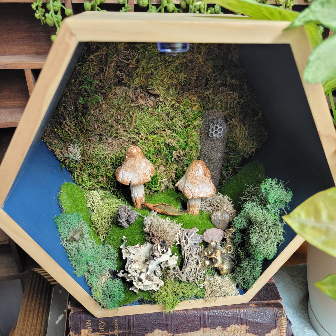 Miniature Nature Scene, Mini Wall Terrarium, Cottage Core Decor, Goblin ...