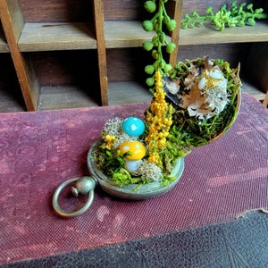 Miniature Mushroom Pocket Watch Scene, Cottage Core Decor, Goblin Core ...