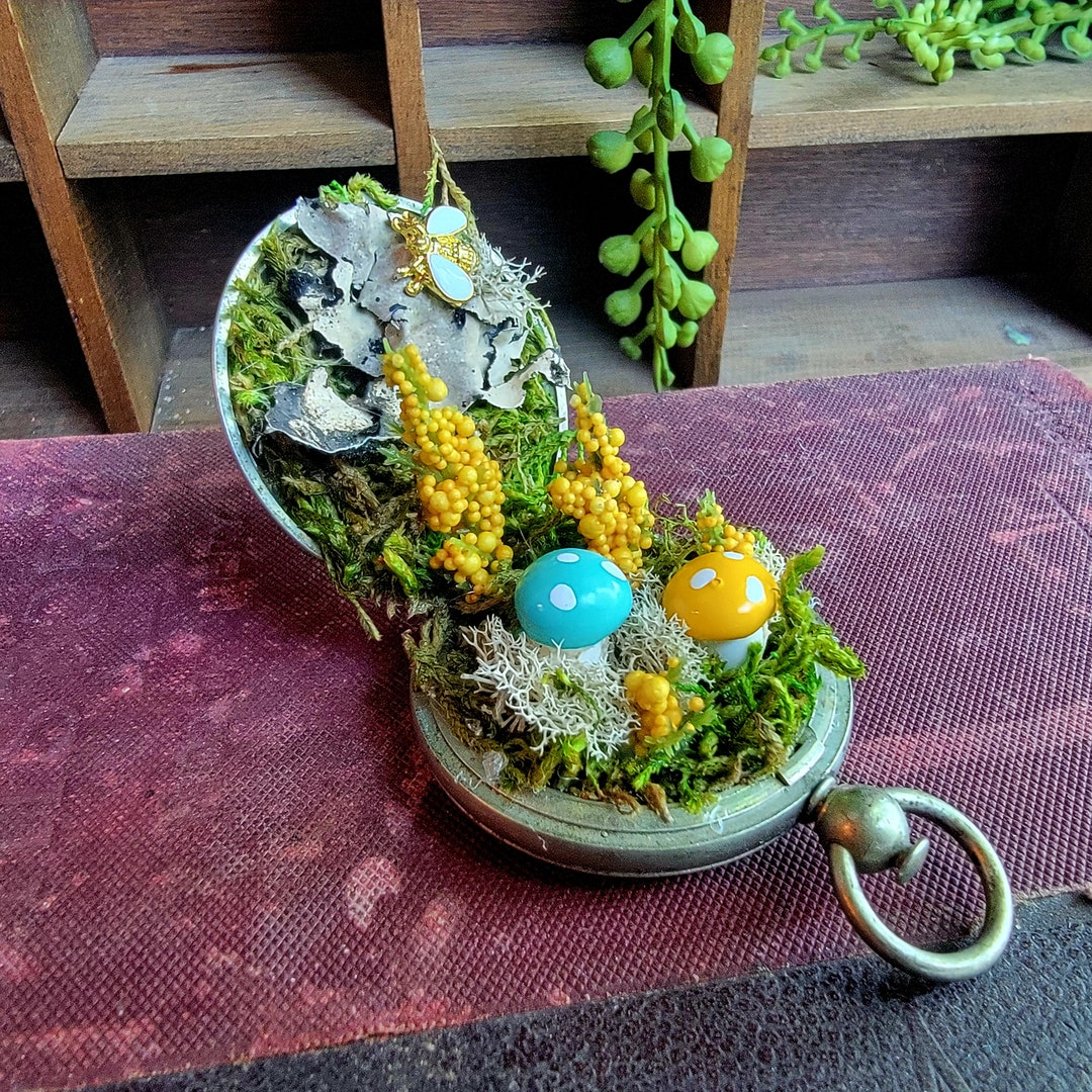 Miniature Mushroom Pocket Watch Scene, Cottage Core Decor, Goblin Core ...