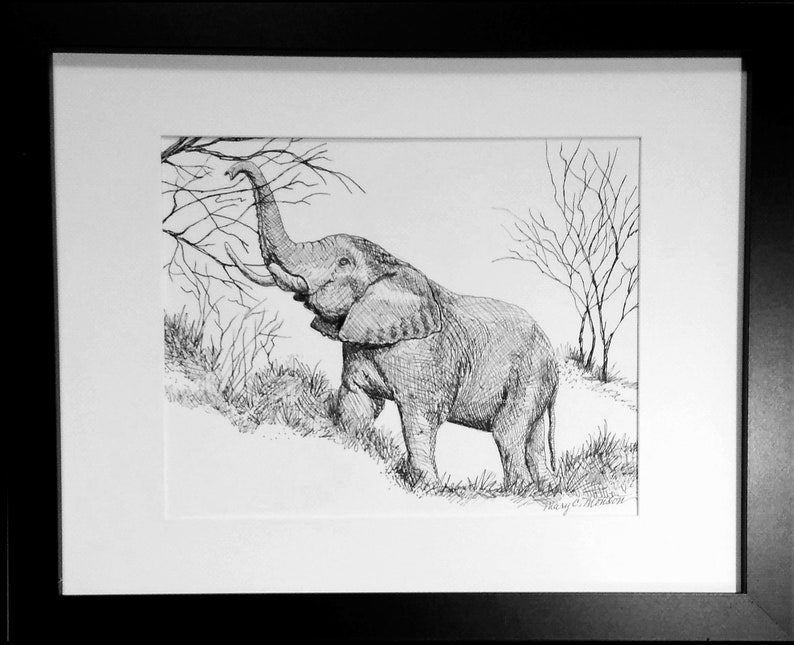 Elephant - Original, Hand-drawn, Ink Drawing, Framed - Free Shipping ...