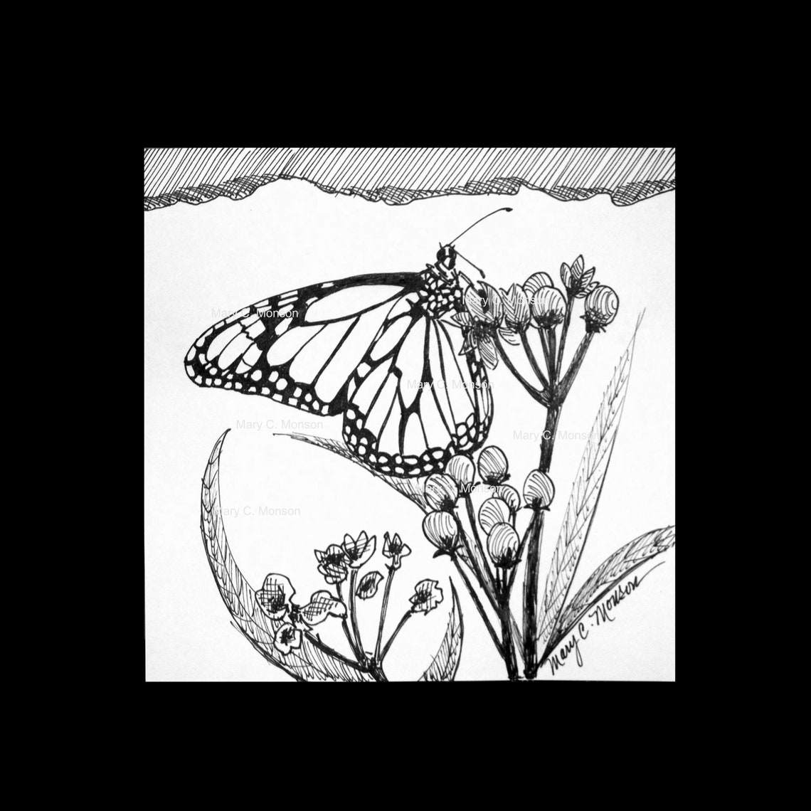 Contented Original Nature Drawing in INK 5x5 Paper FREE - Etsy