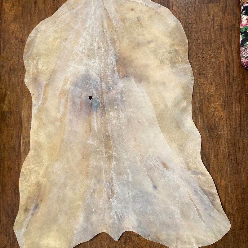 Whitetail Deer Hide - Etsy