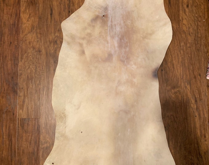 Whitetail Deer Rawhide - Etsy