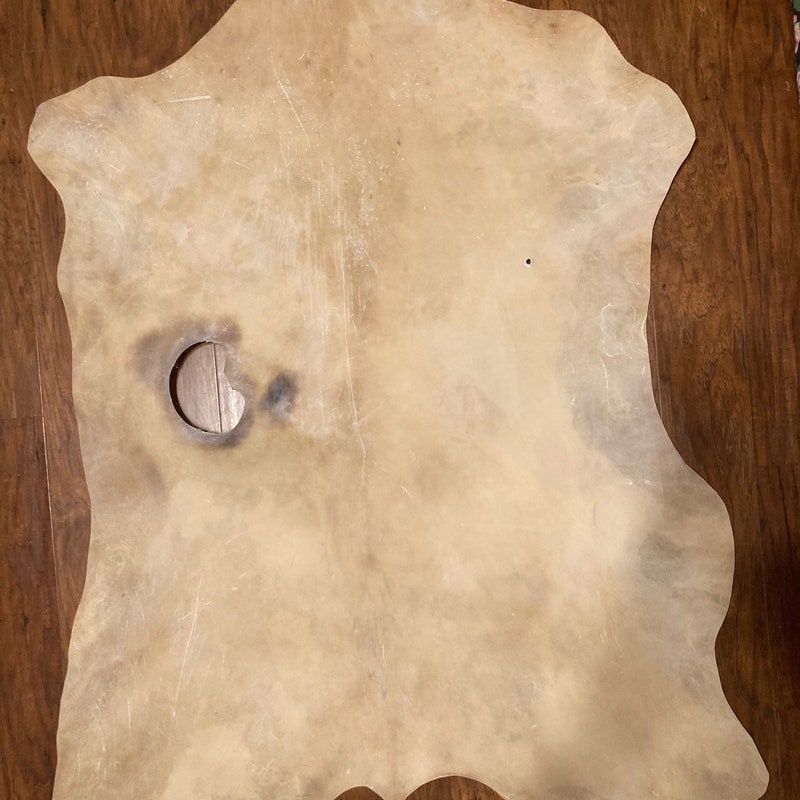 Whitetail Deer Hide - Etsy