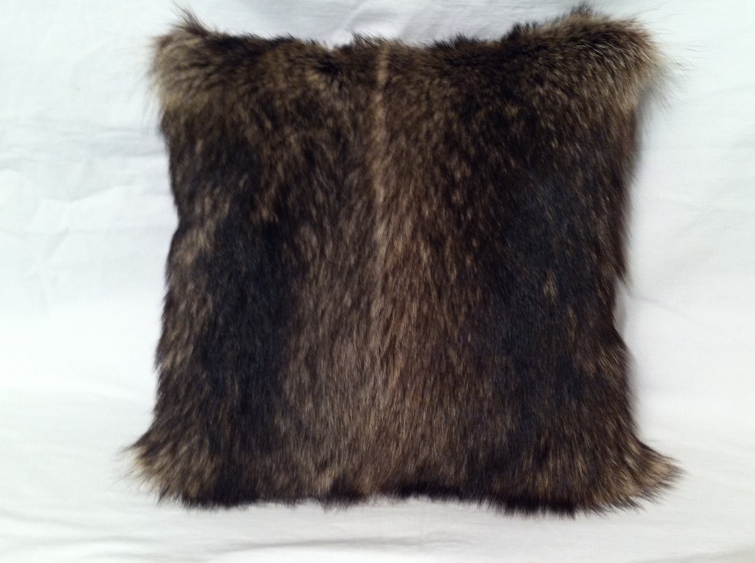 Genuine American Raccoon Pillow - Etsy