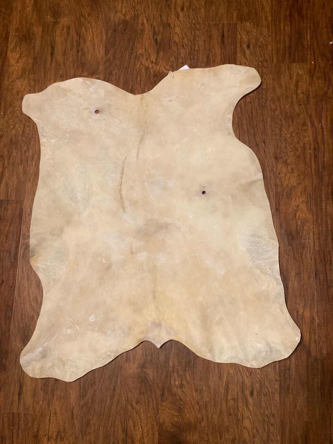 Whitetail Deer Rawhide - Etsy