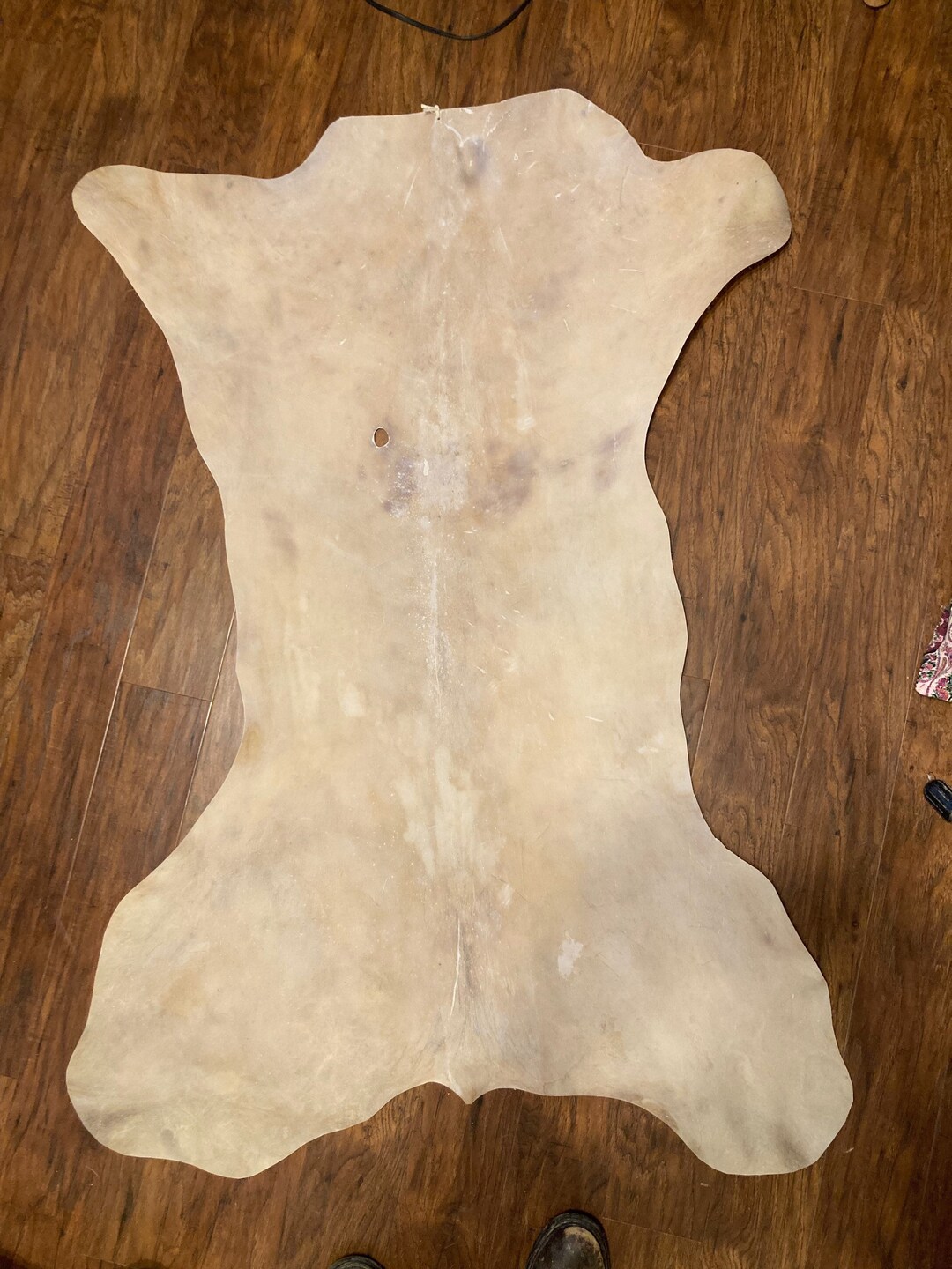 Whitetail Deer Rawhide - Etsy