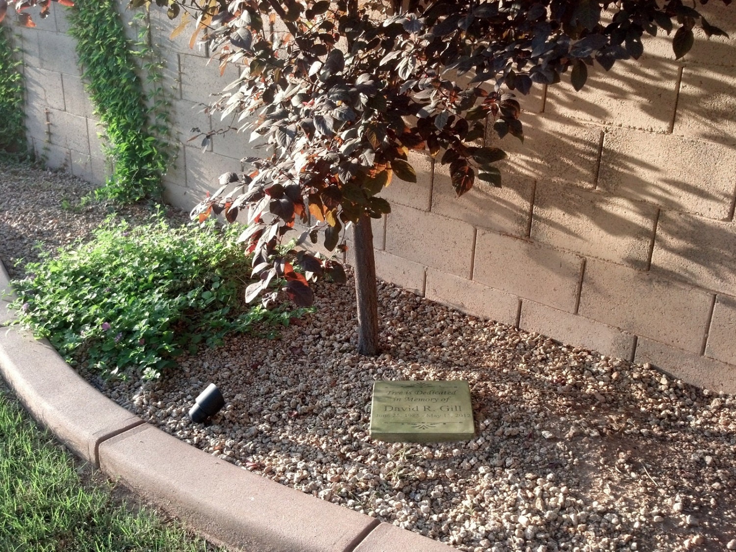 Custom Engraved Memorial & Tribute Stone 11.5"x 11.5" Tree is Dedicated ...