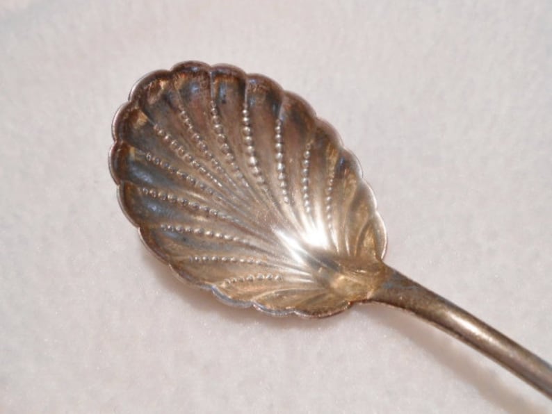 Antique Spoon Sterling Silver Scalloped Edged Sugar Shell - Etsy