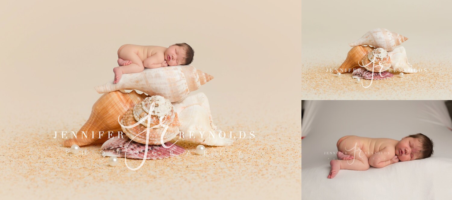 Stack of Shells Backdrop Sea Shell Digital Prop Beach - Etsy