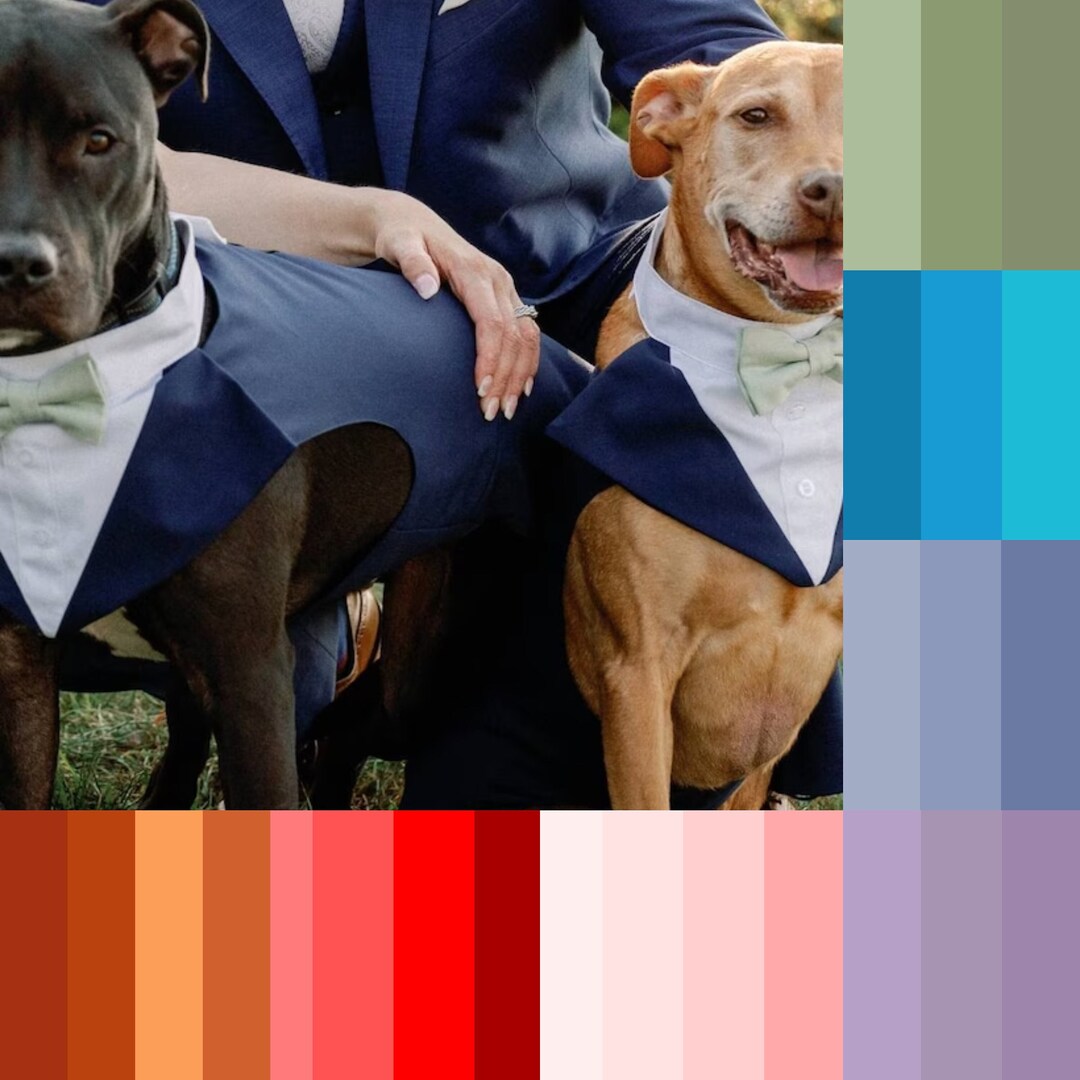 Solid Color Dog Bow Tie, Cotton Bowtie for Dogs, Cat Bow Tie, Dog Gift ...