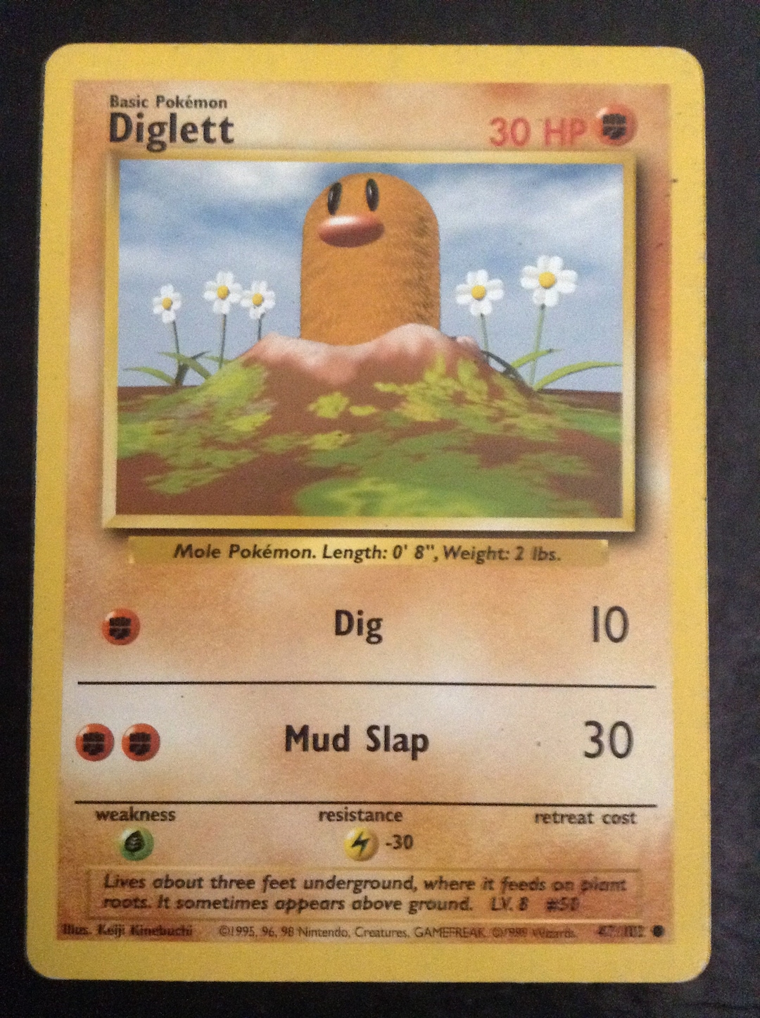 Diglett Pokemon Trading Card - Etsy