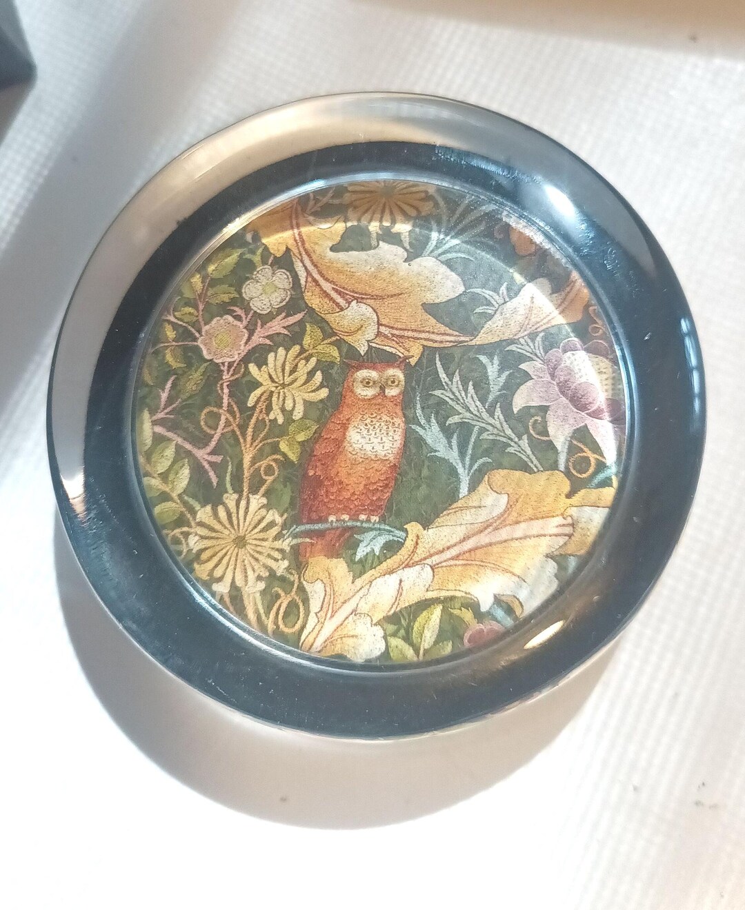 DAPHNE PAIN Glass Paperweight "the Owl Portiere" Embroidered by Mrs ...