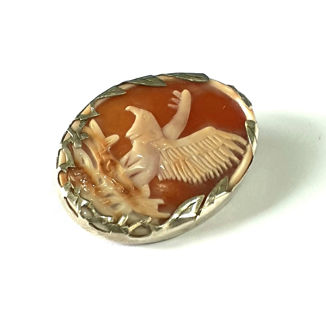 Hand Carved Eagle Shell Cameo Set in High Grade - Silver South Western ...