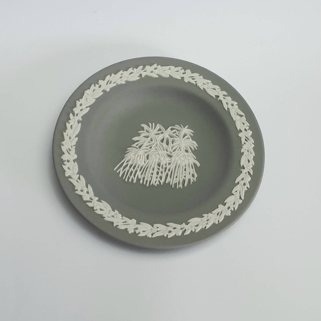 Wedgwood Grey Jasperware Darwinia Plate Vintage Grey Jasperware Dish ...