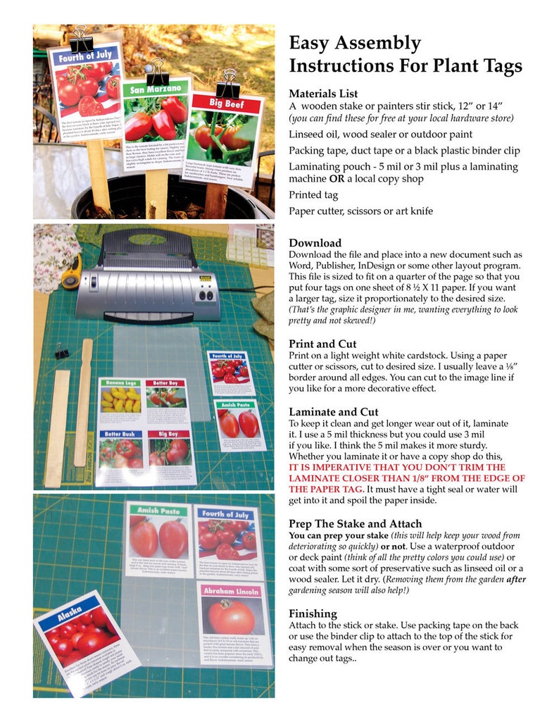 Tomato Plant Tag Big Boy Tomato Garden ID Tag Picture - Etsy