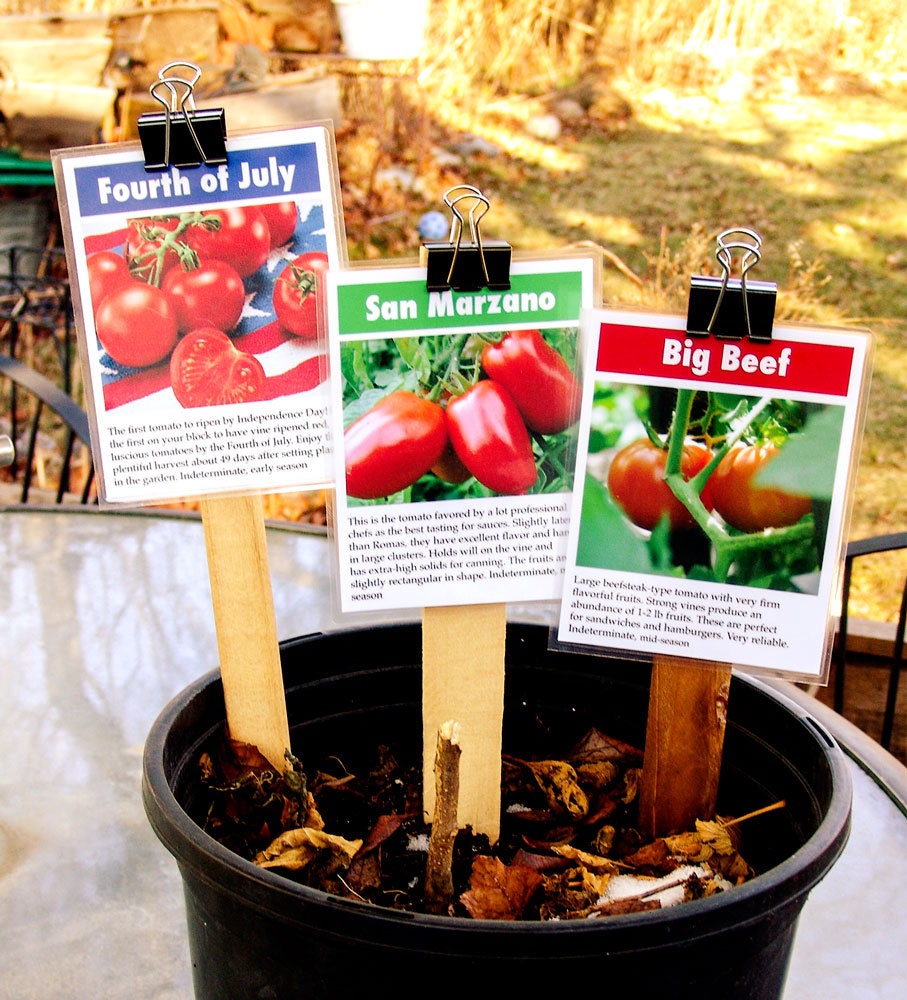 Tomato Plant Tag Big Boy Tomato Garden ID Tag Picture - Etsy