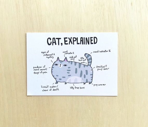 Cat Explained Postcard // Funny Cat Postcard - Etsy
