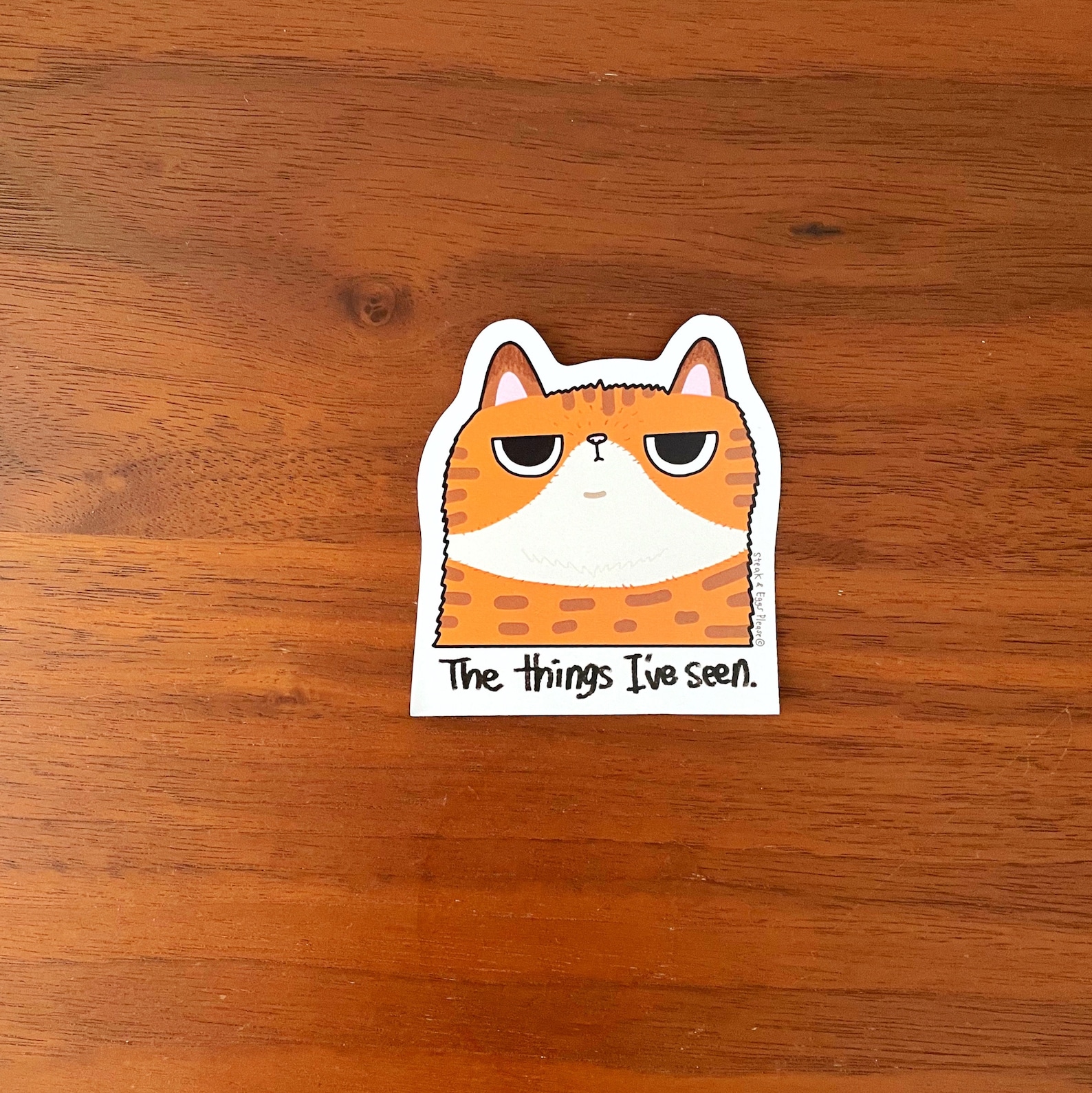 Grumpy Cat Stickers - Etsy
