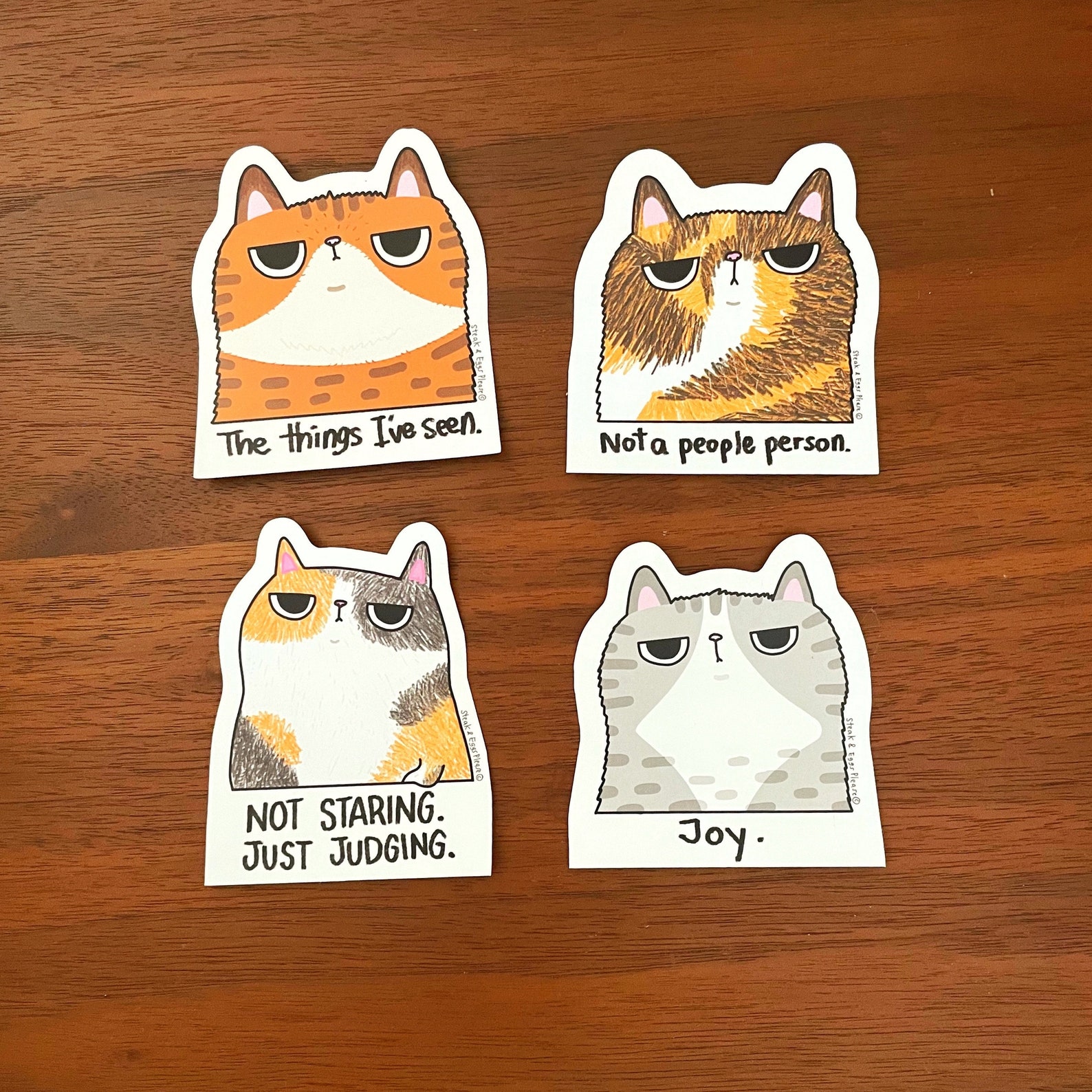 Grumpy Cat Stickers - Etsy