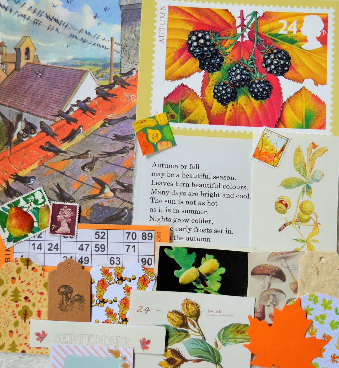 Autumn Theme Paper Ephemera Craft Collage Scrapbooking Pack - Etsy