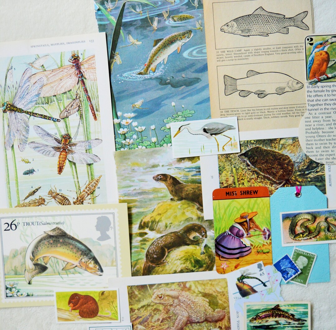 Wildlife of Rivers and Streams Theme Paper Ephemera Craft, Collage ...