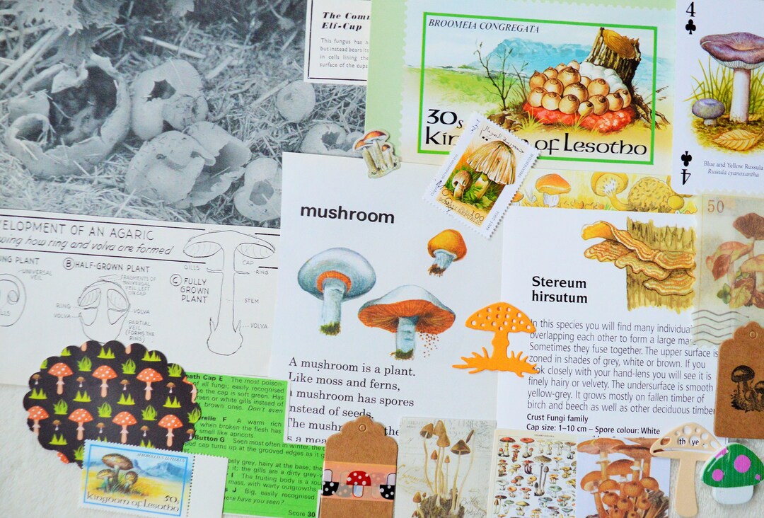 Fungi/mushroom/toadstool Theme Paper Ephemera Craft, Collage ...